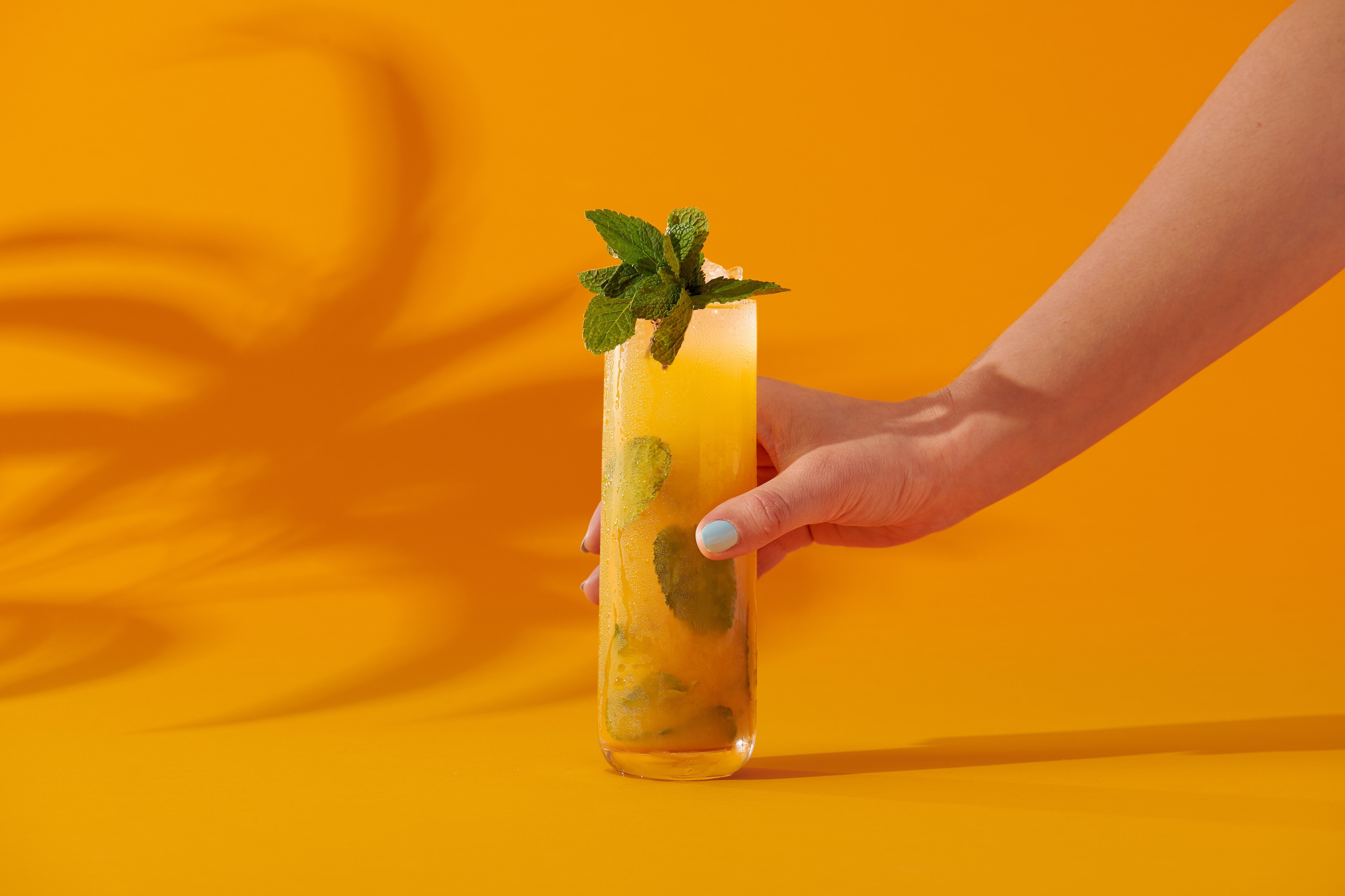 JAGER MULE | Funkin Cocktails Trade Hub
